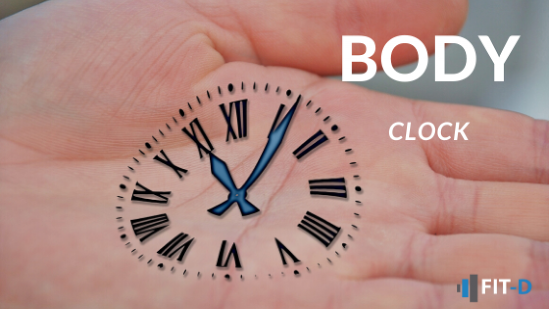 Body Clock - Fit-d.com